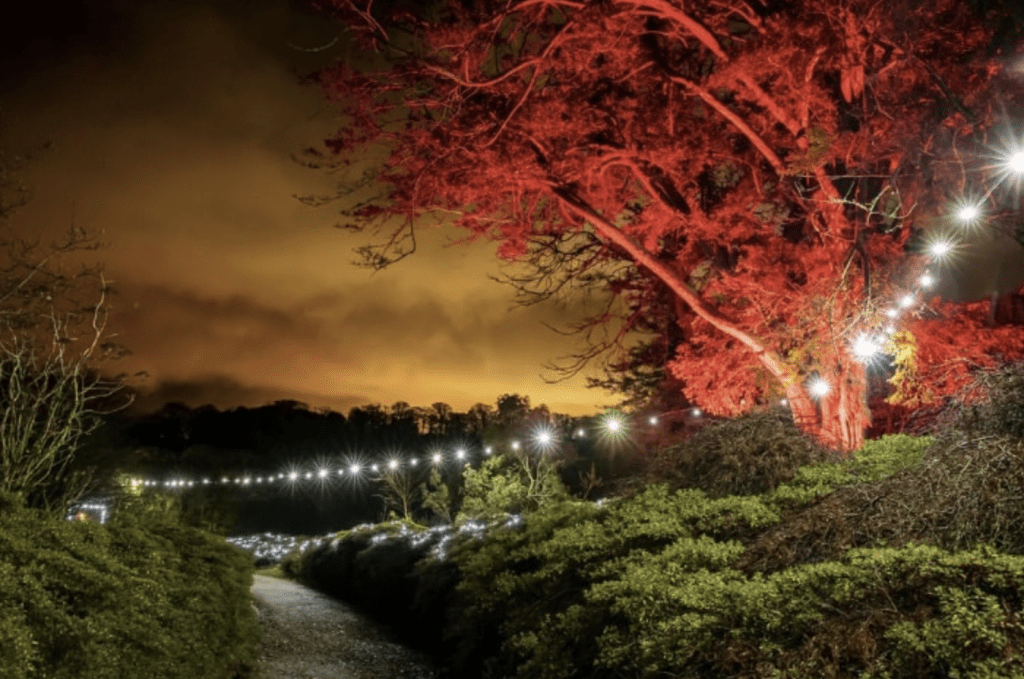 Christmas - mountcongreve.com