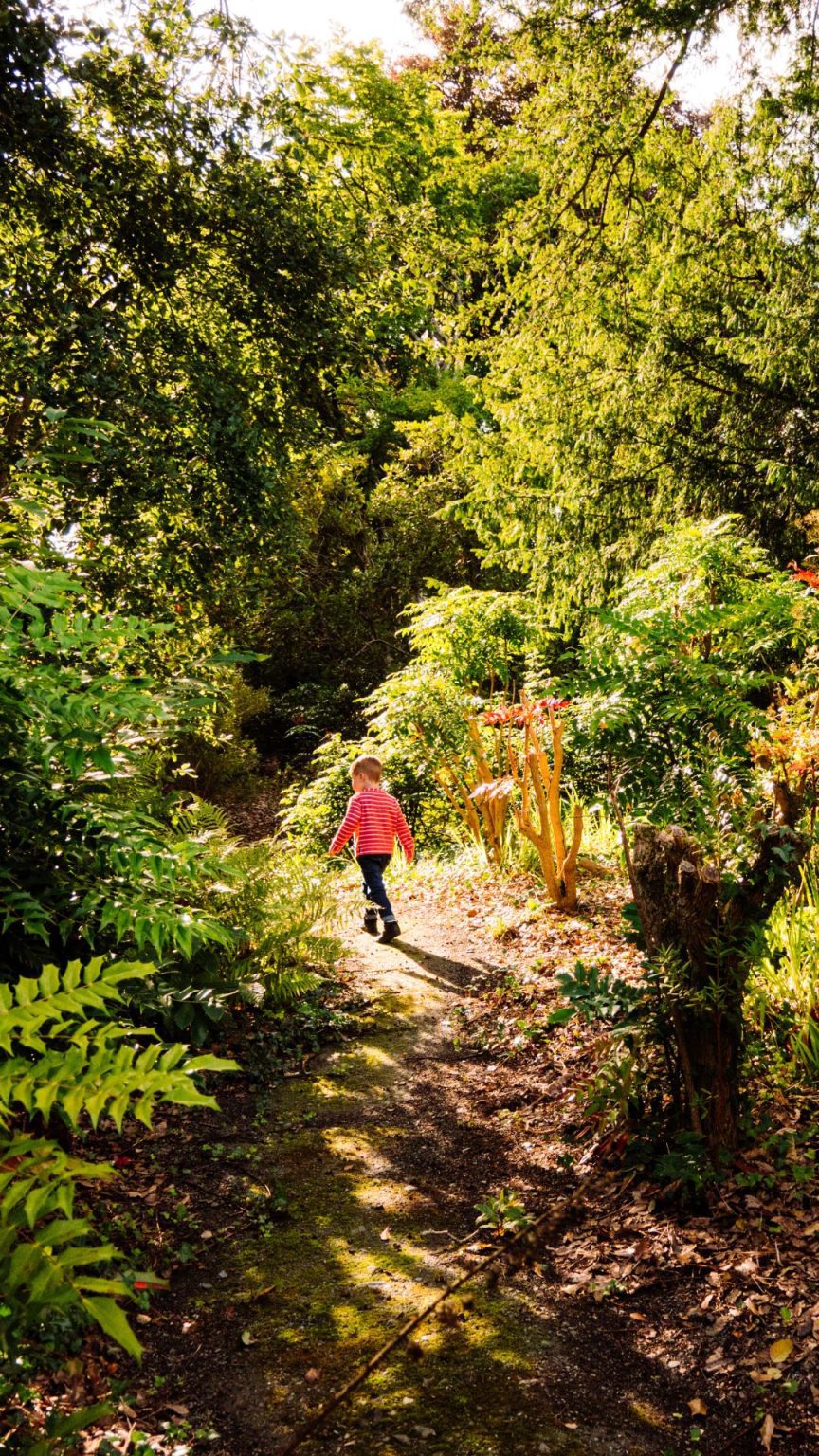 Forest Cabin Couples - mountcongreve.com