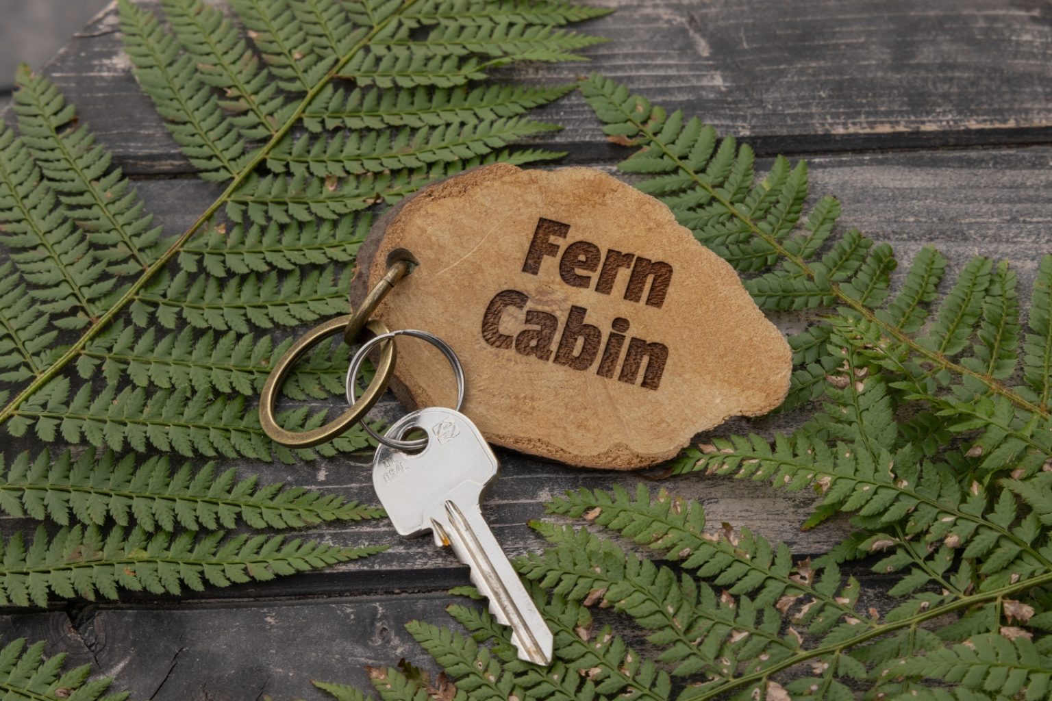 Forest Cabin Couples - mountcongreve.com