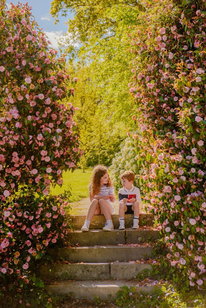 Forest Cabin Couples - mountcongreve.com