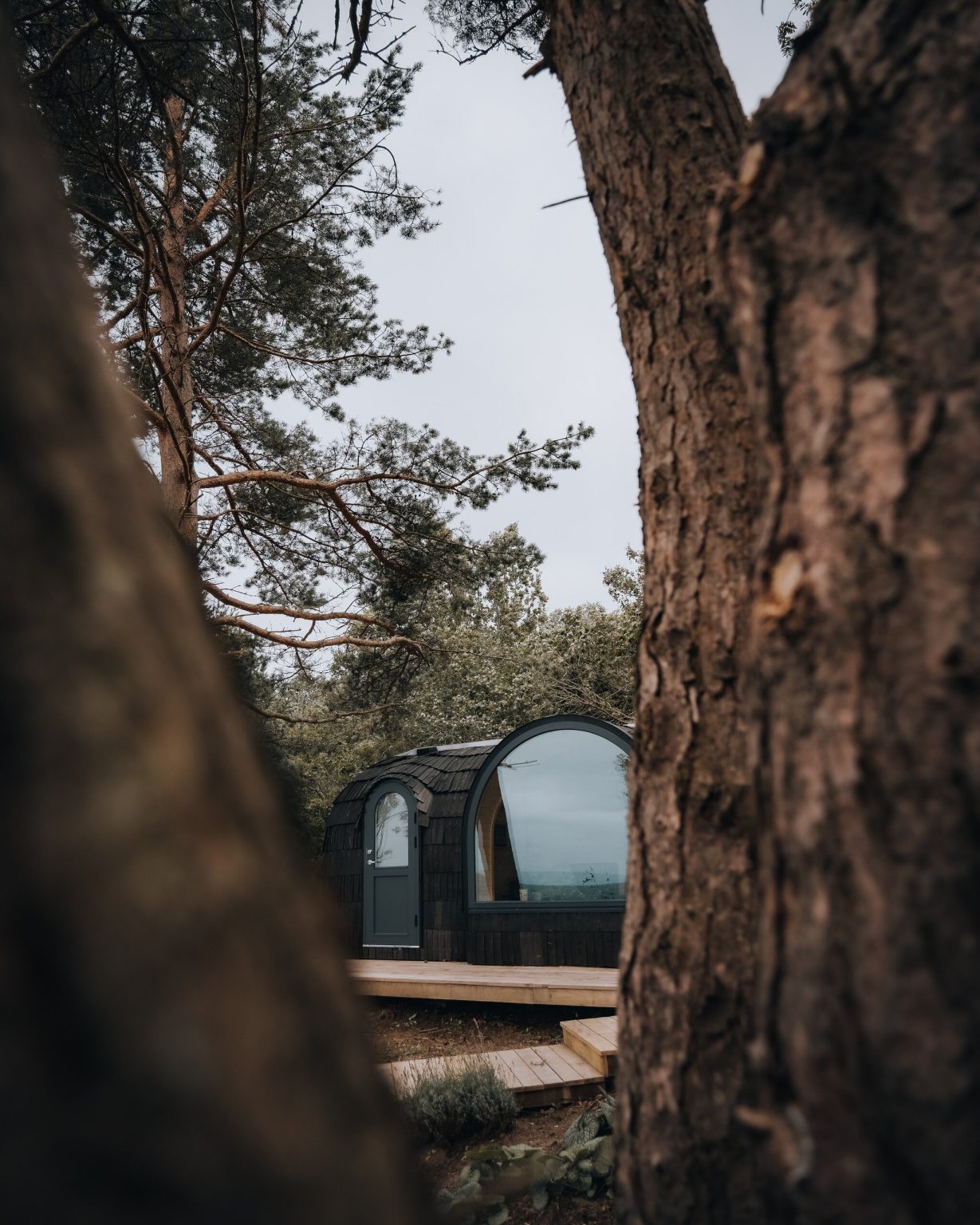 Forest Cabin Couples - mountcongreve.com