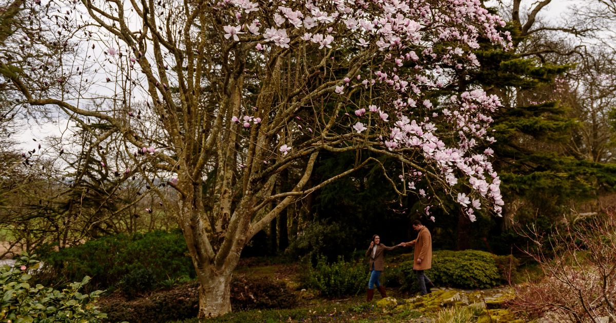 Oak Gate Lodge - mountcongreve.com