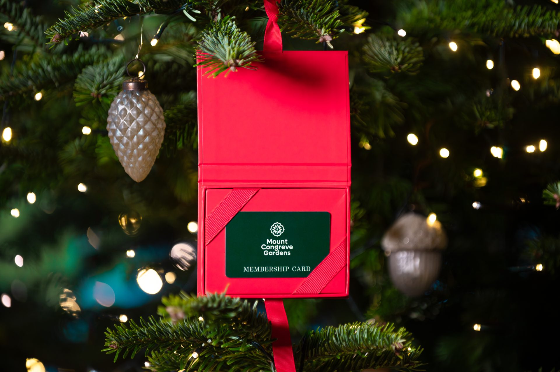 Offer the Gift of Mount Congreve Membership this Christmas